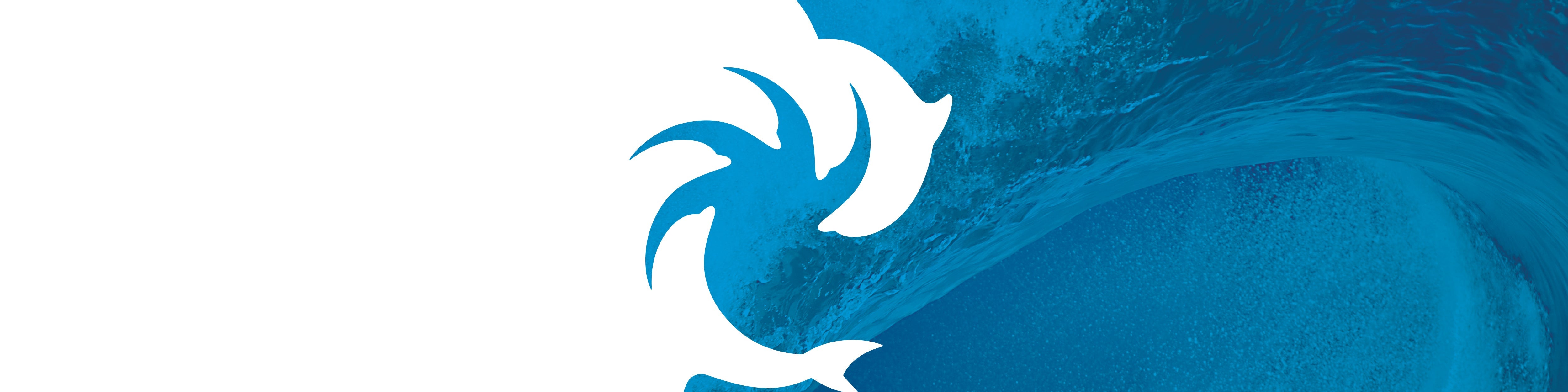 Juice Box Collection – Wave Riding Vehicles