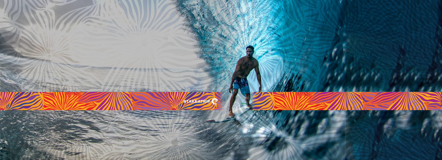 Take A Trip – Wave Riding Vehicles