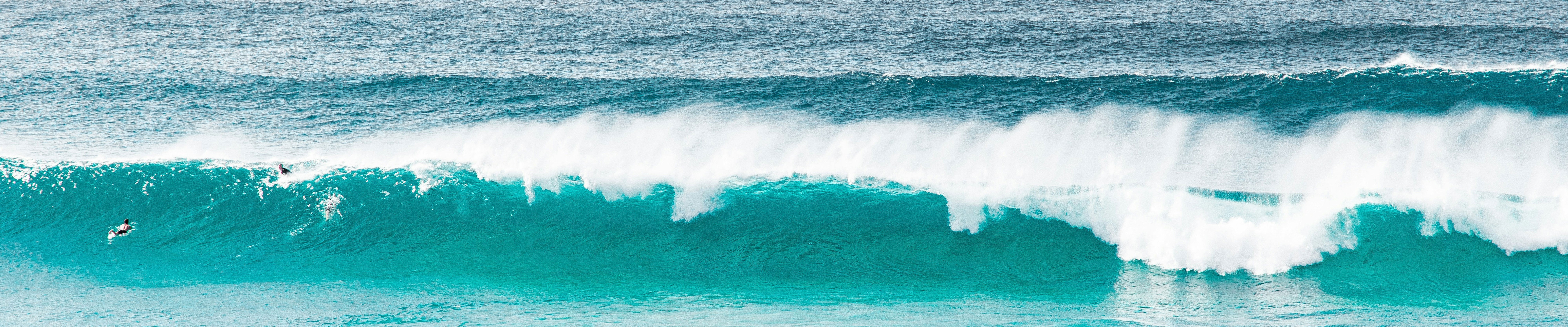 New Markdowns – Wave Riding Vehicles