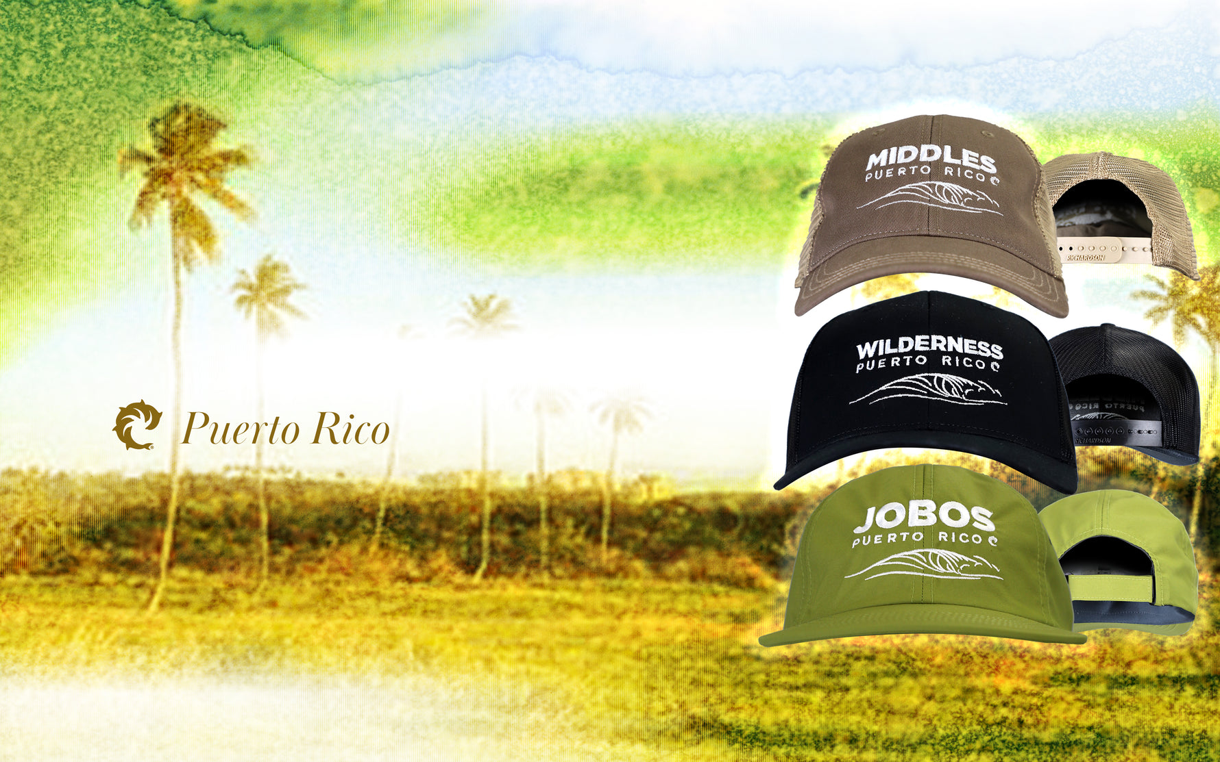 Wave Riding Vehicles