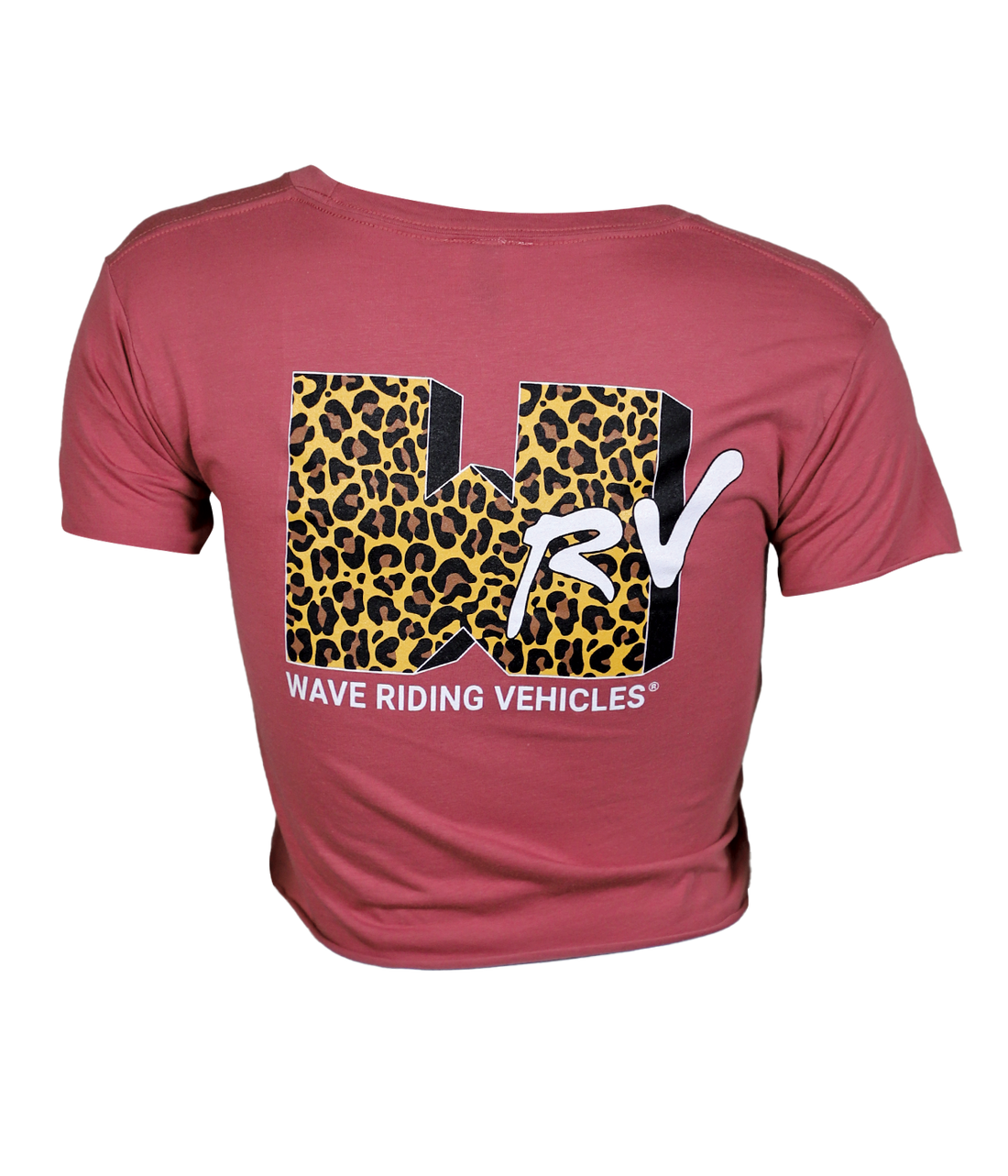 Wave Riding Vehicles