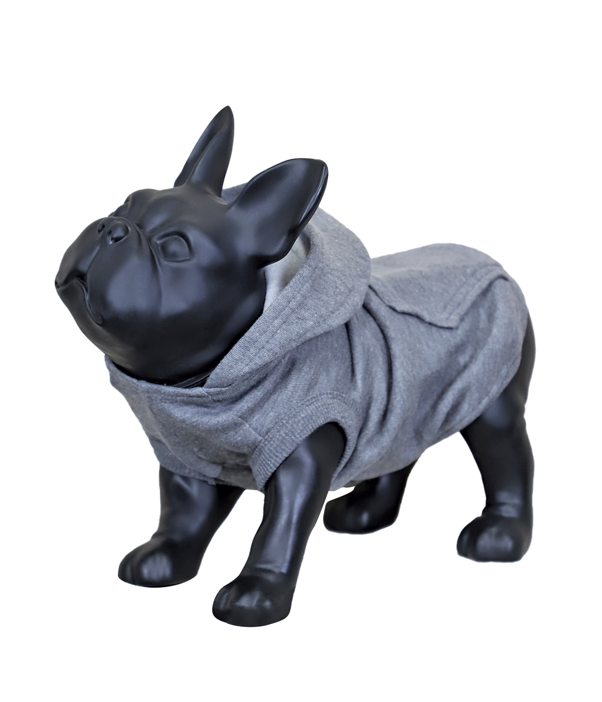 Paws Pet Hoodie – Wave Riding Vehicles